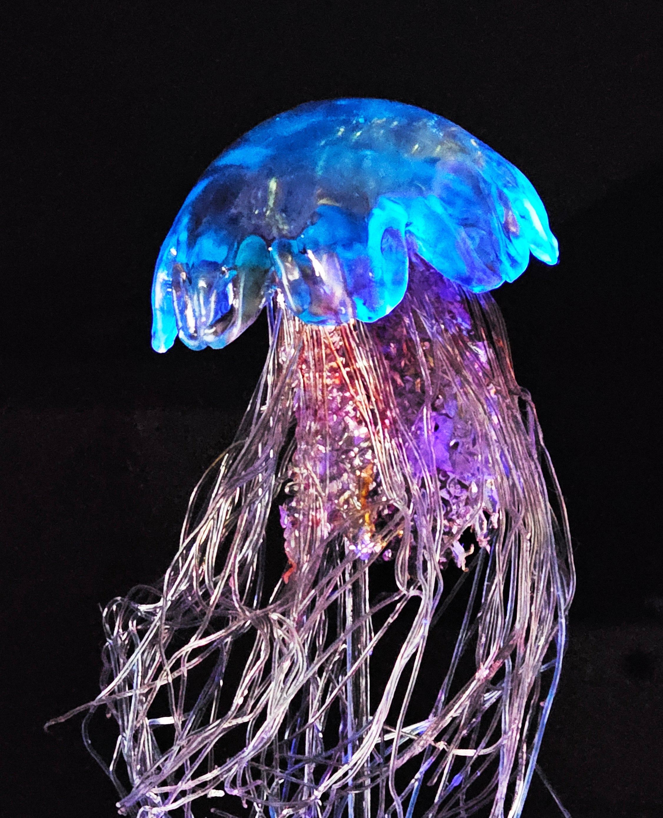 Jellyfish series – That Creative Feeling