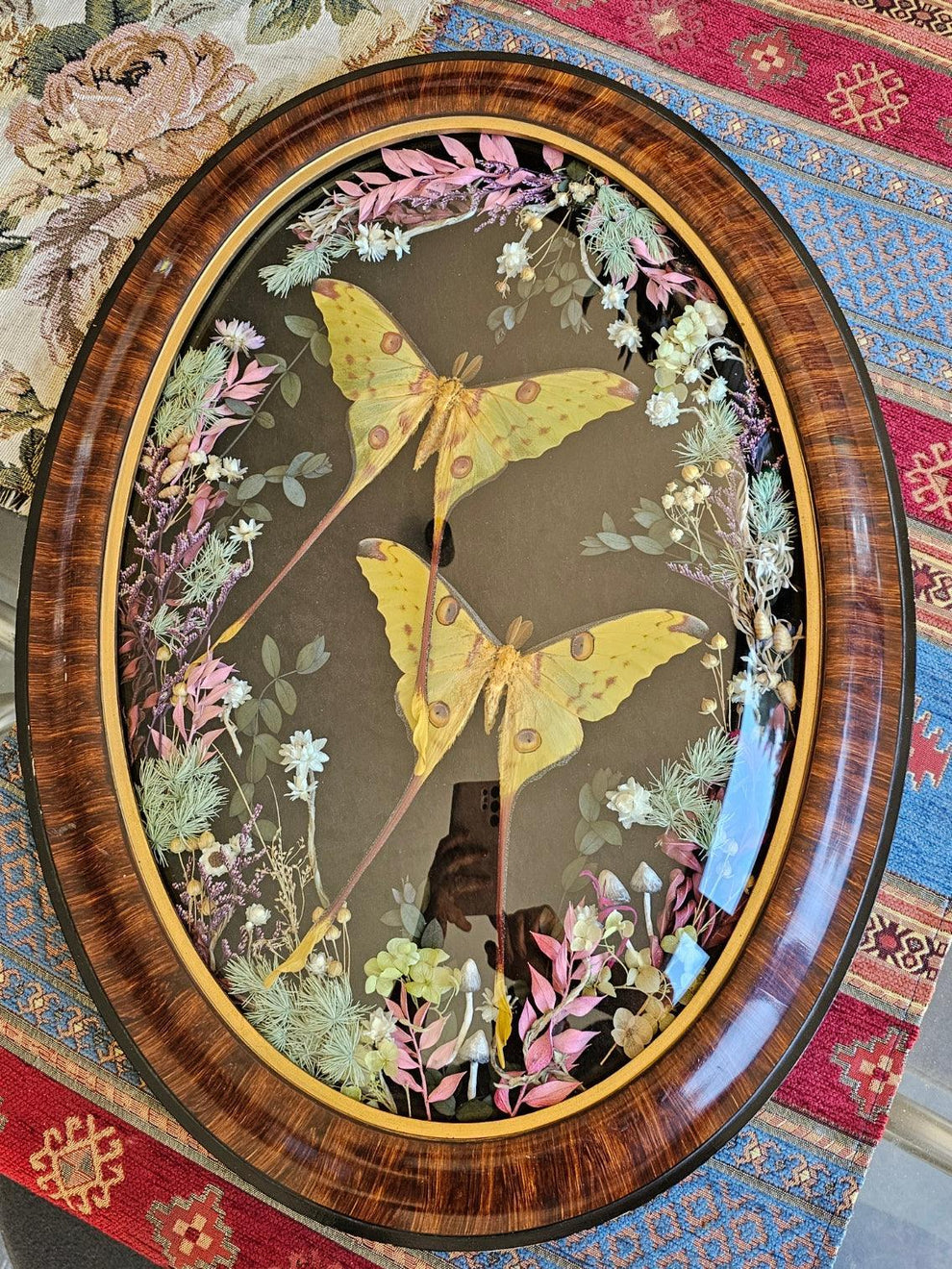 Frame vintage - Victorian Gothic bubble frame with Giant Comet Moths ...