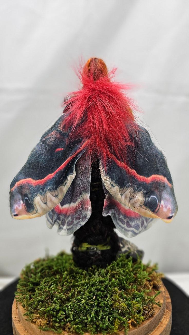 Dead Fairies - mummified in a glass dome – That Creative Feeling